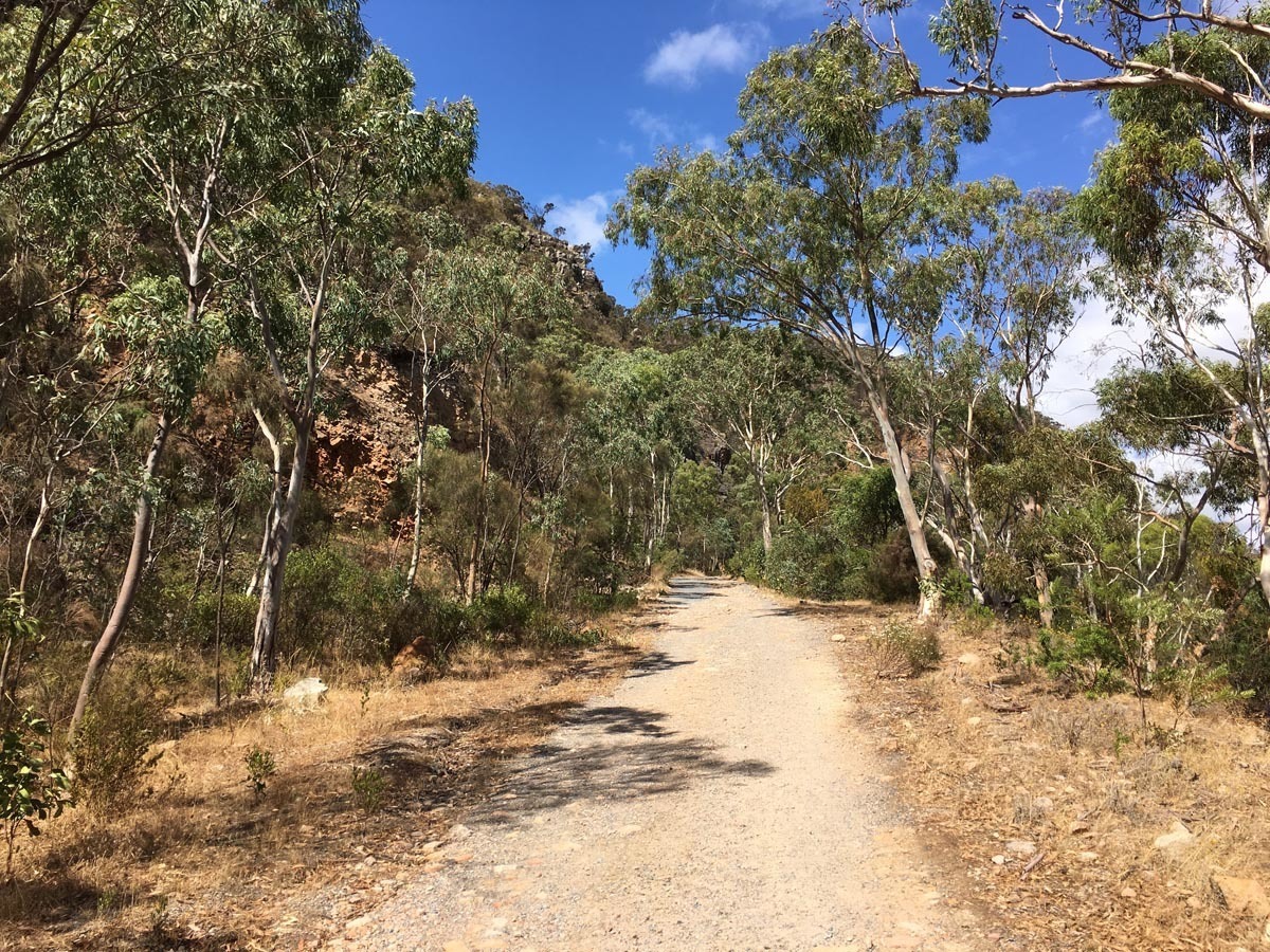 Outdoor Dojo - Mo Latin